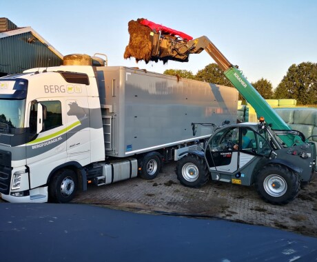 Kuilgras kopen – jaarrond leverbaar | Berg Agri